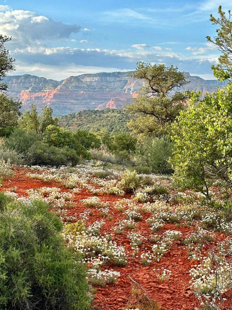 Top 10 Unforgettable Best Sunrise Hikes in Sedona for Awe-Inspiring ...